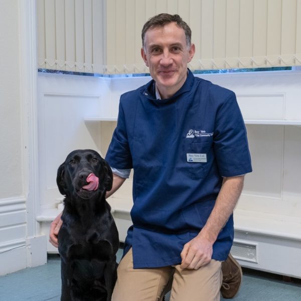 Meet Our Team - Bay Vets