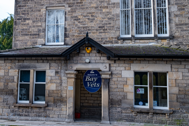 Vets In Lancaster | Lancaster Vets | Bay Vets