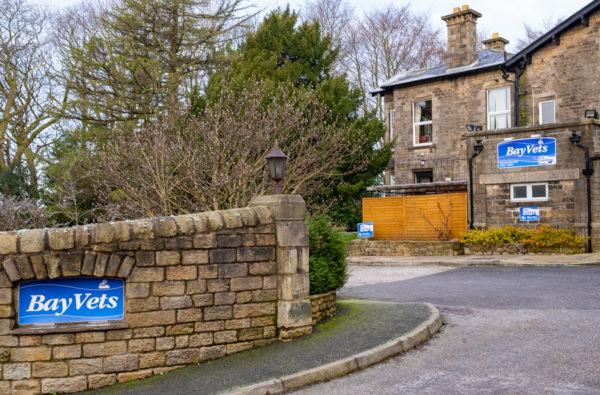 Vets In Lancaster | Lancaster Vets | Bay Vets