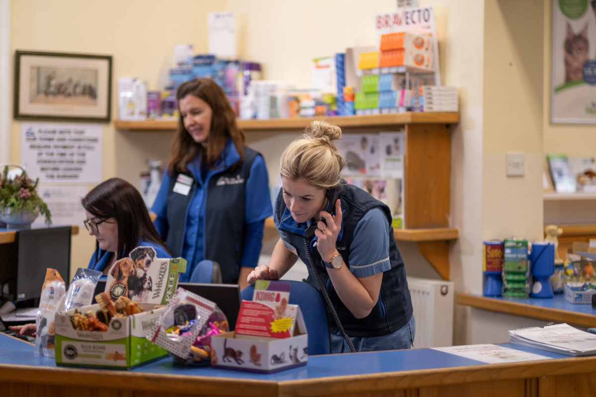 Vets In Lancaster | Lancaster Vets | Bay Vets